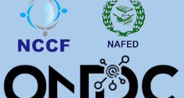 Government has directed NCCF and NAFED to initiate procurement of 5 lakh tonnes of onion for the ...